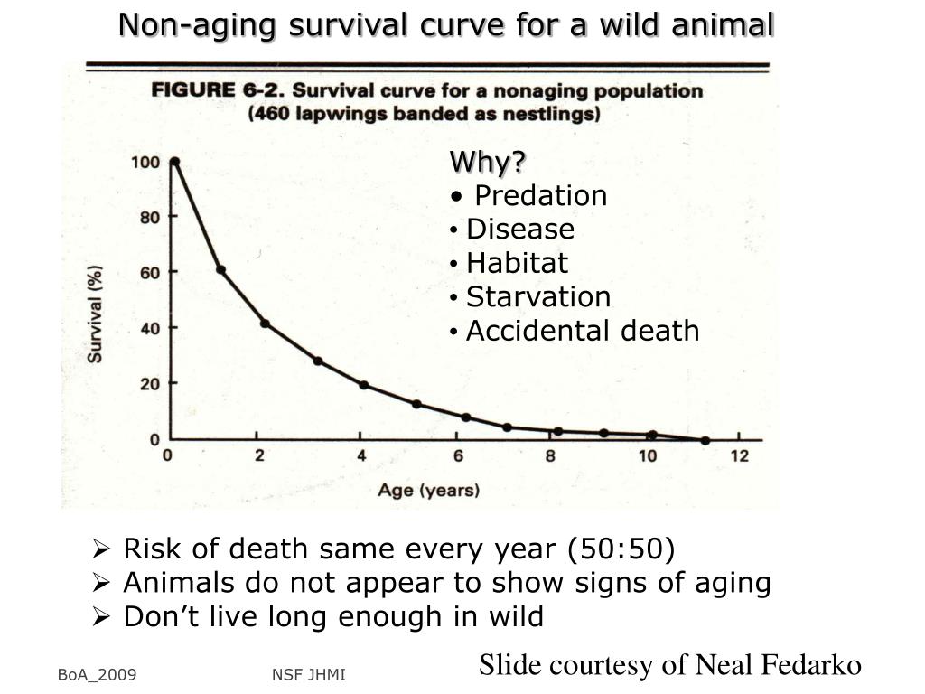PPT - HIV and Aging: Accentuated Disease and Accelerated Aging KY AETC ...