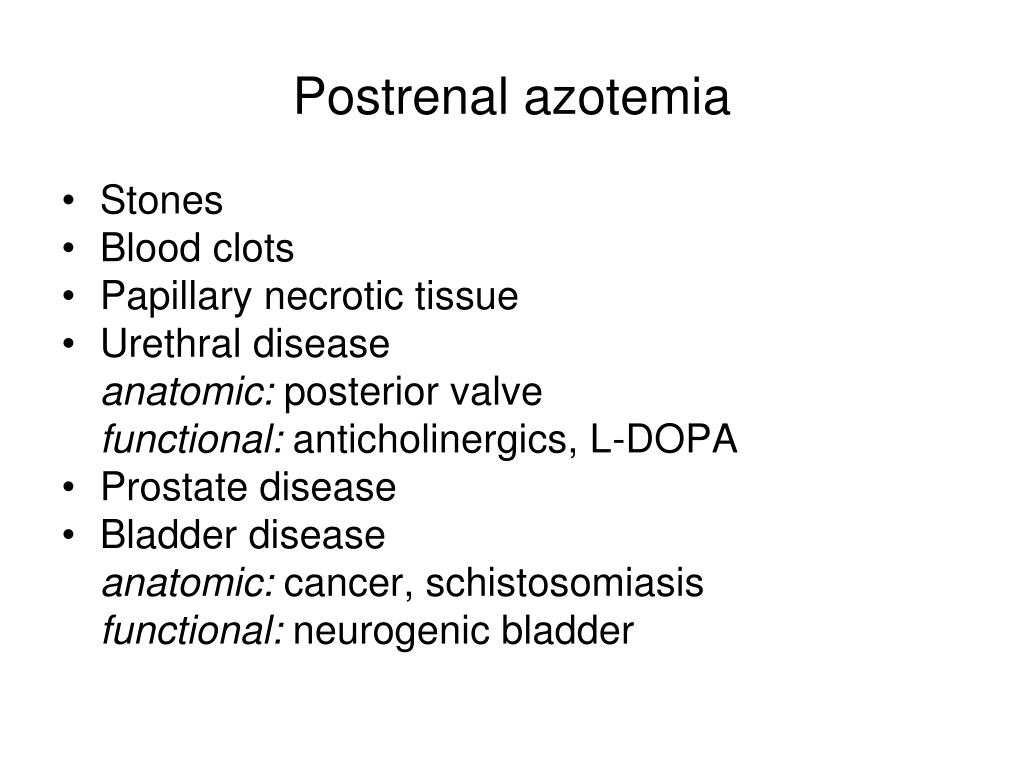 PPT - Acute Renal Failure aka Acute Kidney Injury PowerPoint ...