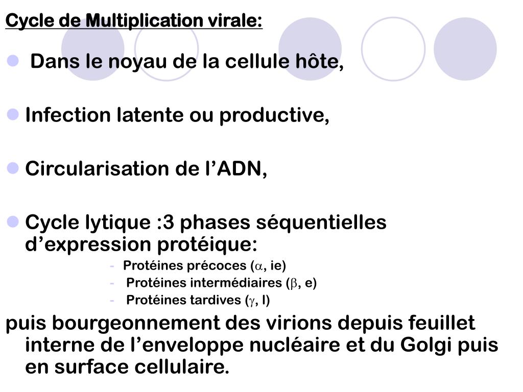 PPT - Les Herpesviridae « herpein »=ramper (grec) PowerPoint ...