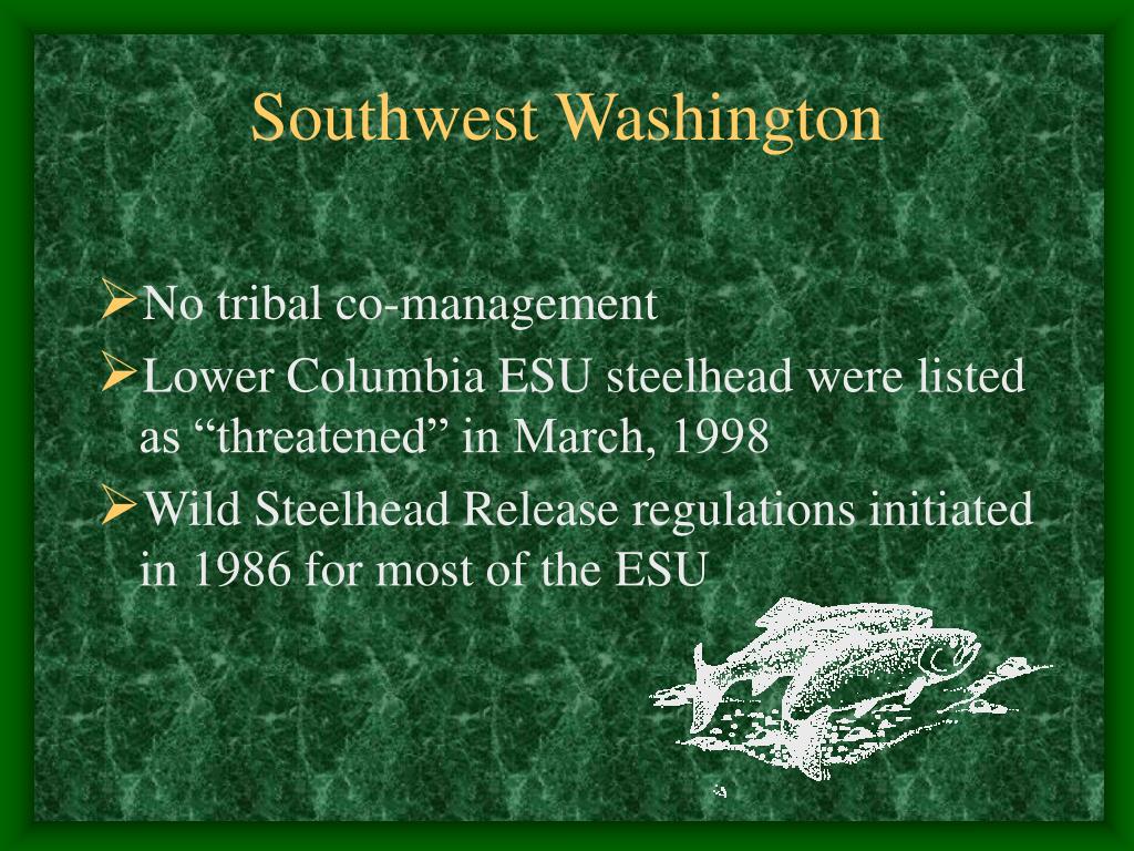PPT - Pacific Coast Steelhead Management Meeting PowerPoint ...
