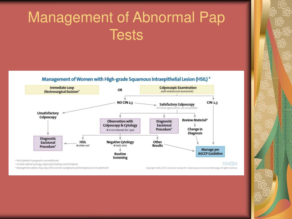 PPT - Menarche to Menopause: What’s New in Women’s Health? PowerPoint ...