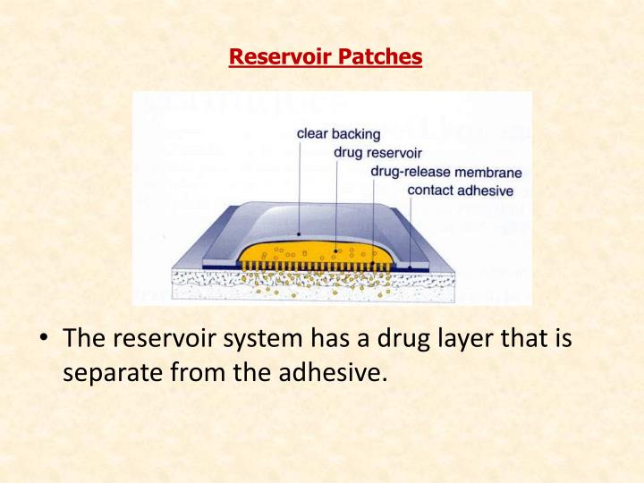 PPT - Transdermal drug delivery PowerPoint Presentation - ID:3526588