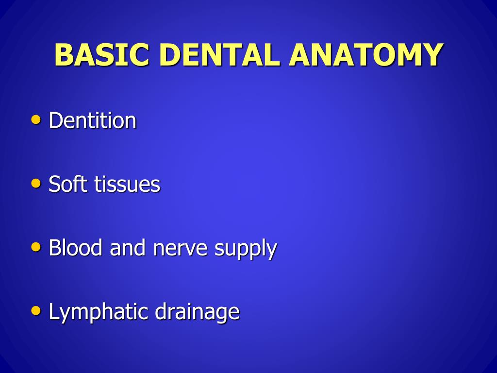 PPT - MANAGING DENTAL EMERGENCIES March 24, 2011 Lianne Beck, MD ...