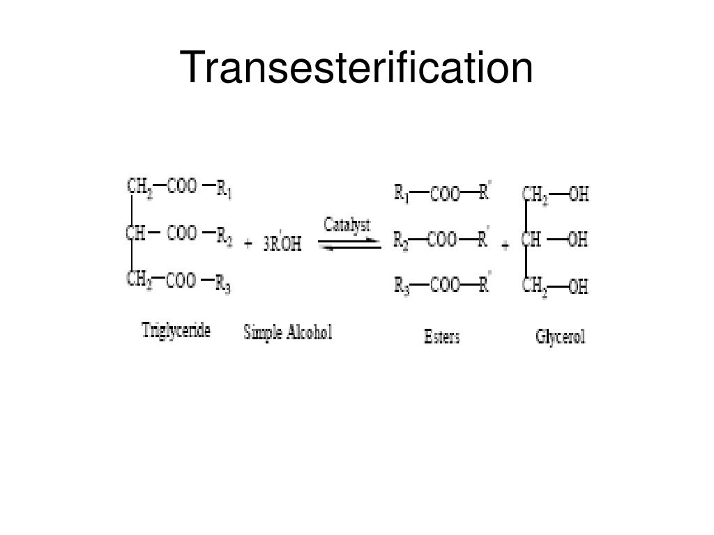 PPT - Production of diesel fuel from vegetable oil PowerPoint ...