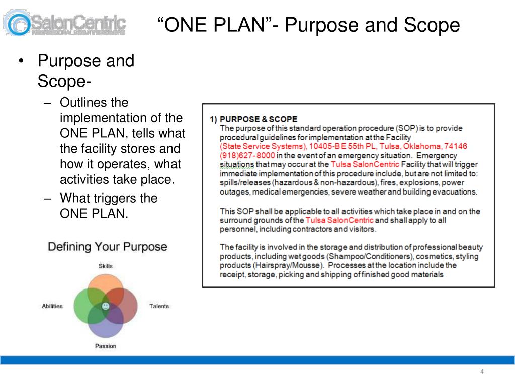 PPT - SAlonCentric “One Plan” Prepared by Russell Walz PowerPoint ...