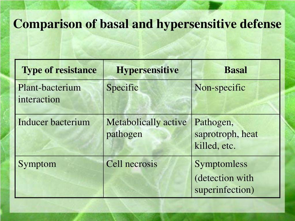 PPT - Bacterium-induced basal resistance inhibits viral infection in ...