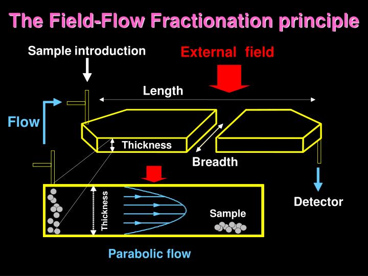 PPT - The Field-Flow Fractionation principle PowerPoint Presentation ...