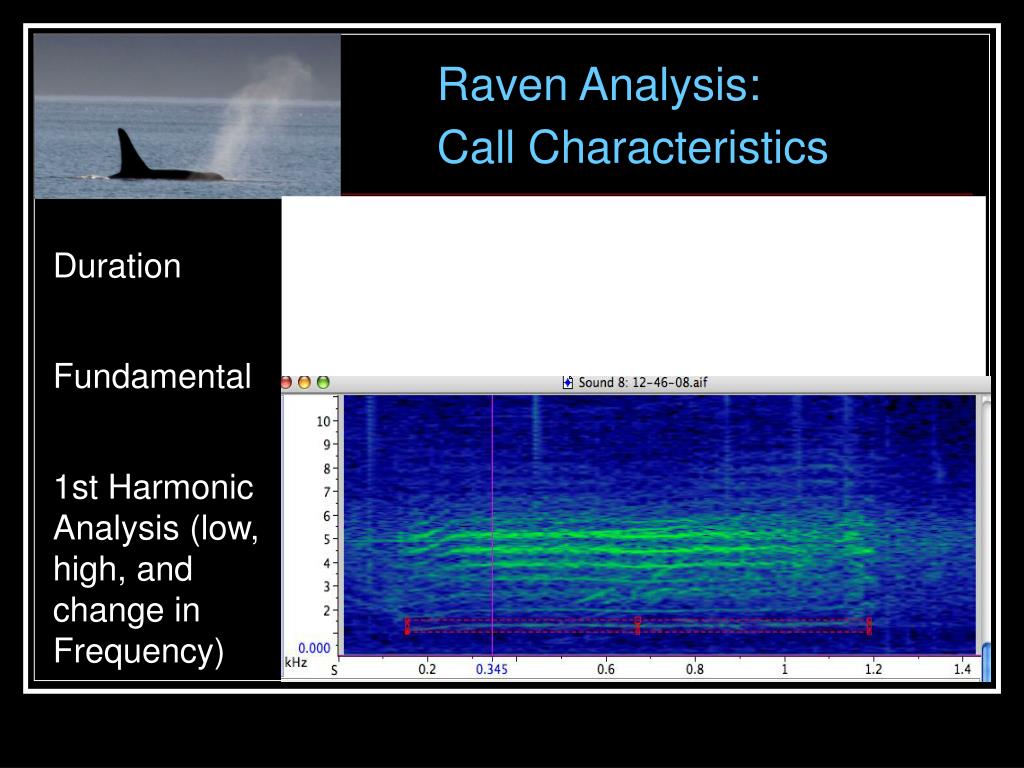 PPT - Localizing Vocalizations in fish-eating southern resident killer ...