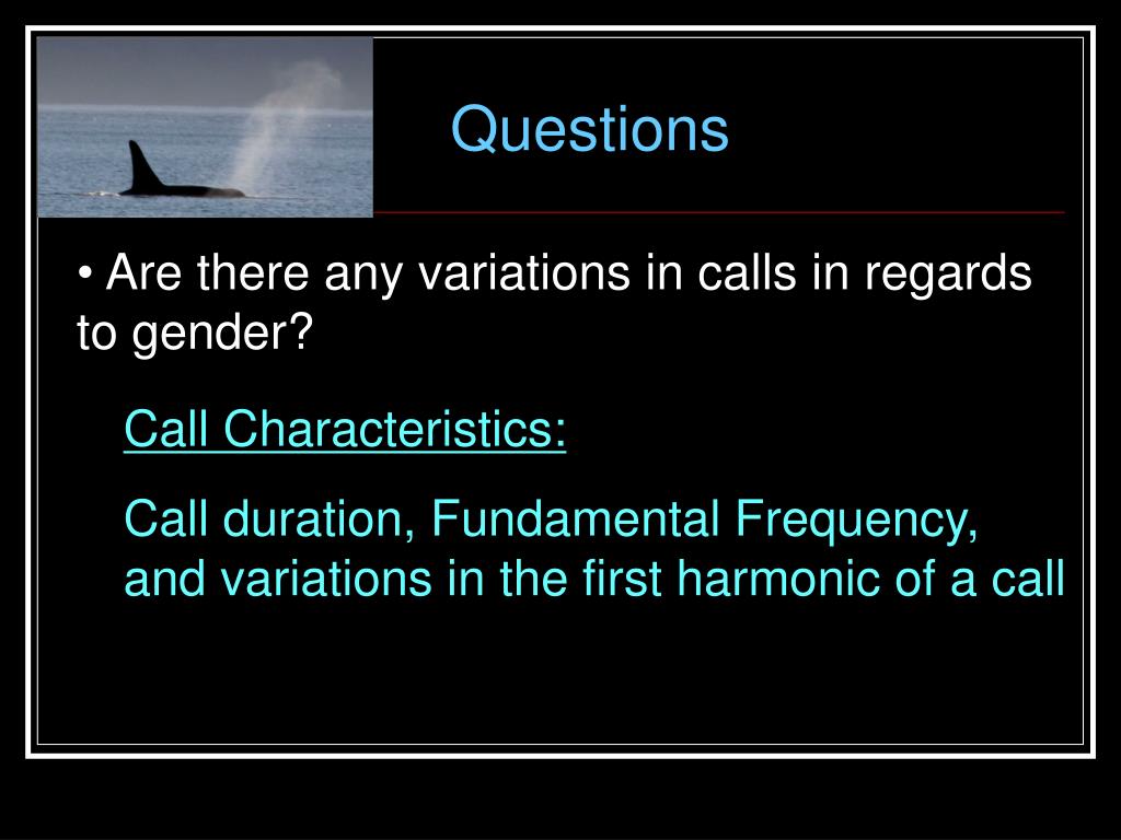 PPT - Localizing Vocalizations in fish-eating southern resident killer ...