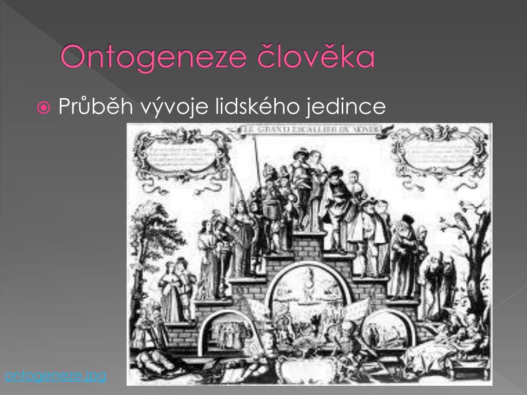 PPT - Název Ontogeneze člověka Šablona CZ.1.07/1.4.00/21.2698 Poř.číslo ...