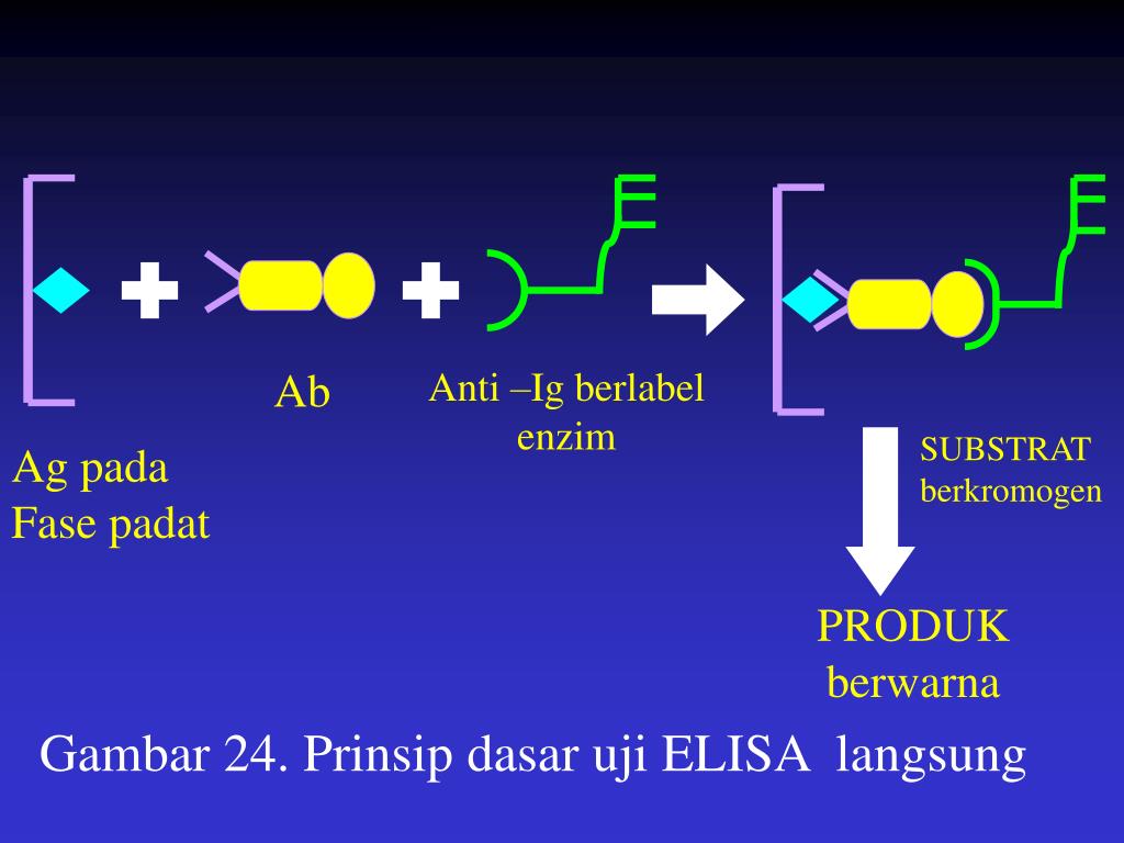 PPT - IMUNOASAI (PEMERIKSAAN SEROLOGI) PowerPoint Presentation, free ...