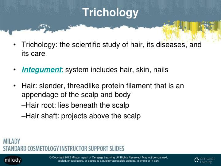 PPT - Chapter 11 Properties of the Hair and Scalp PowerPoint ...