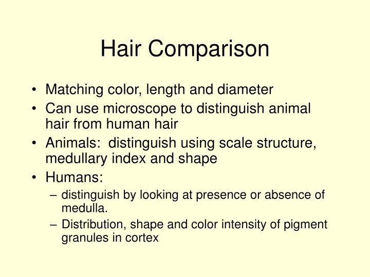 PPT - Hair Evidence PowerPoint Presentation - ID:3531546
