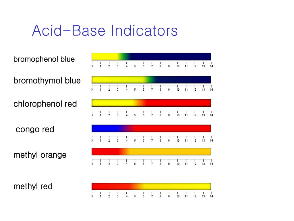 PPT - 13 장 . 산과 염기 : 신맛과 쓴맛을 내는 분자들 PowerPoint Presentation - ID:3531681