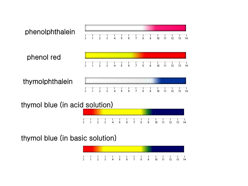 PPT - 13 장 . 산과 염기 : 신맛과 쓴맛을 내는 분자들 PowerPoint Presentation - ID:3531681