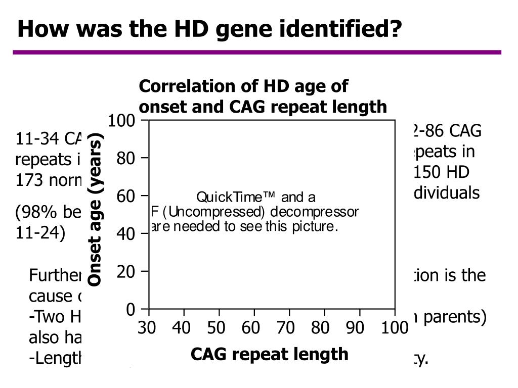 PPT - Positional cloning of the Huntington’s disease (HD) gene ...