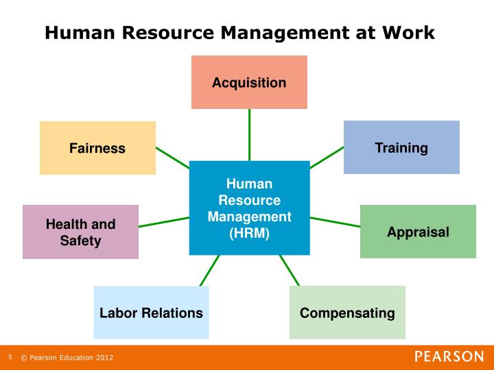 PPT - Chapter 1 Introduction to Human Resource Management PowerPoint ...