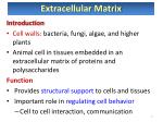PPT - Extracellular Matrix PowerPoint Presentation - ID:3532932