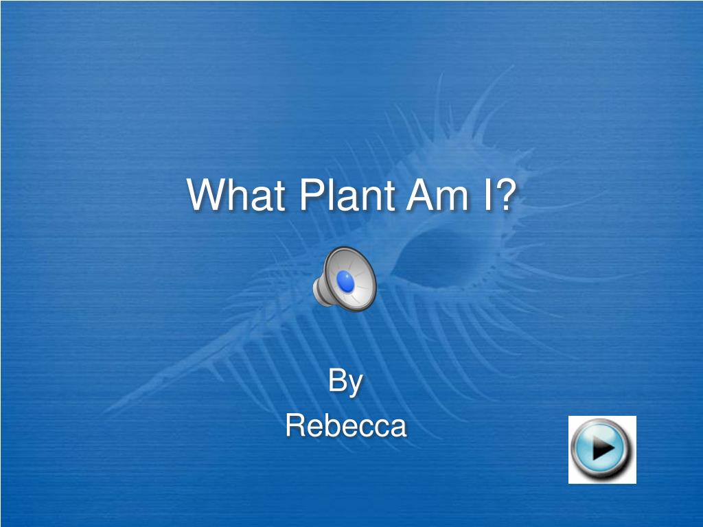 PPT - Discover the California Poppy - A Colorful and Adaptive Plant ...