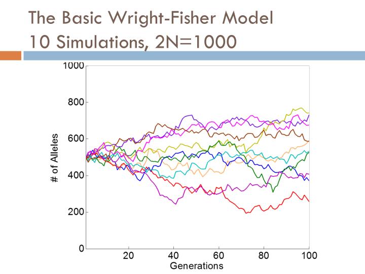 PPT - Modeling Evolution: The Wright-Fisher Model PowerPoint ...