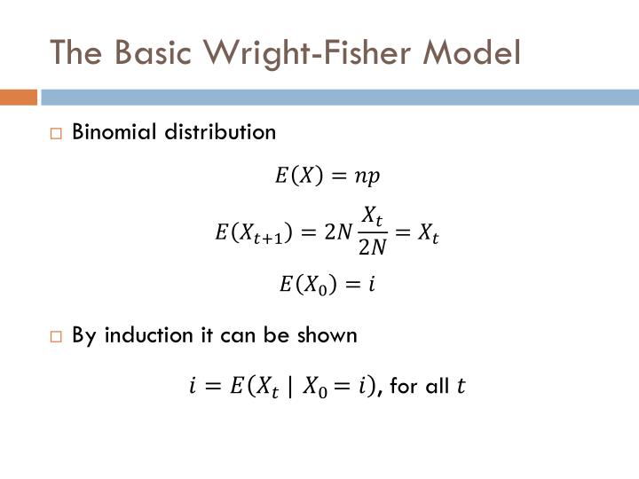 PPT - Modeling Evolution: The Wright-Fisher Model PowerPoint ...