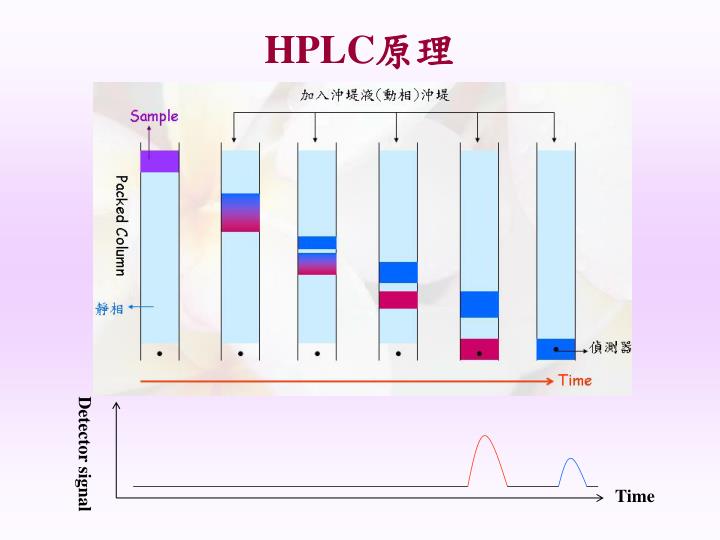 PPT - 高效能液相層析儀 HPLC H igh P erformance L iquid C hromatography ...