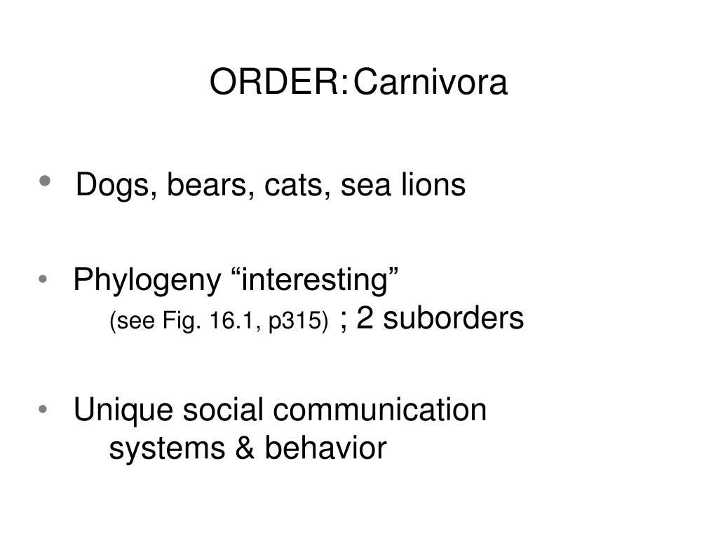 PPT - EUTHERIAN MAMMALS = PLACENTAL MAMMALS PowerPoint Presentation ...