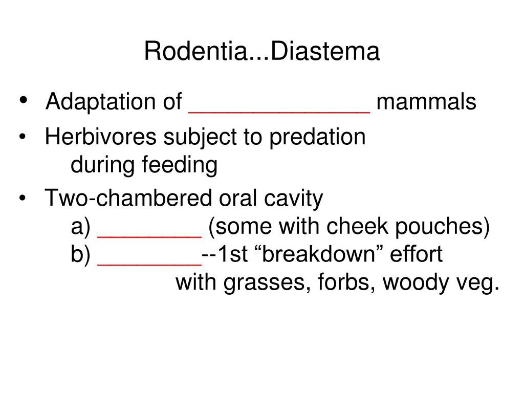 PPT - EUTHERIAN MAMMALS = PLACENTAL MAMMALS PowerPoint Presentation ...