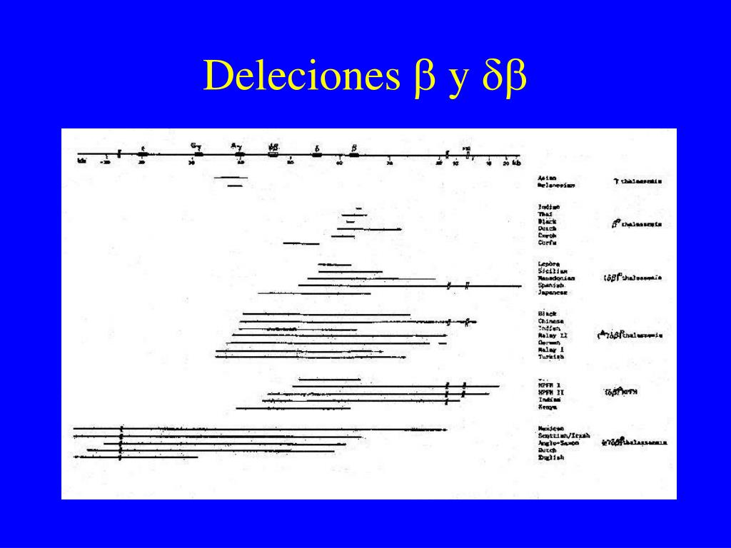 PPT - Clasificación de las anemias hemolíticas PowerPoint Presentation ...