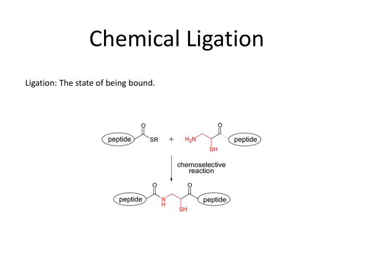 PPT - Chemical Ligation PowerPoint Presentation, free download - ID:3535169