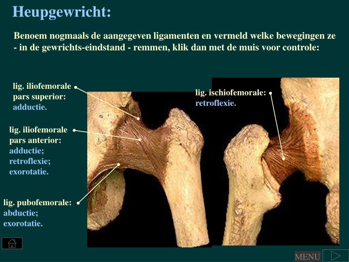 PPT - BEKKEN en HEUPGEWRICHT PowerPoint Presentation - ID:3535716