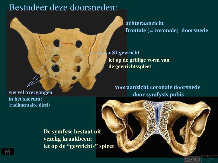 PPT - BEKKEN en HEUPGEWRICHT PowerPoint Presentation - ID:3535716