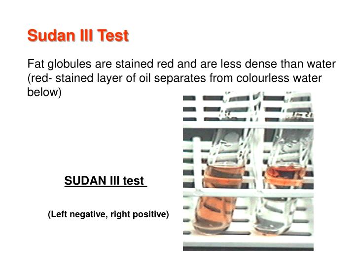 PPT - Topic Outline PowerPoint Presentation - ID:3535856