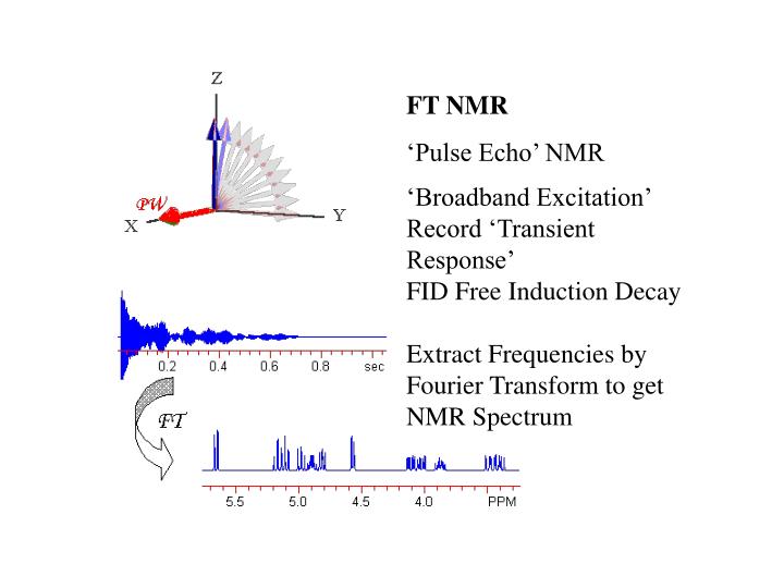 PPT - NMR PowerPoint Presentation - ID:3536420