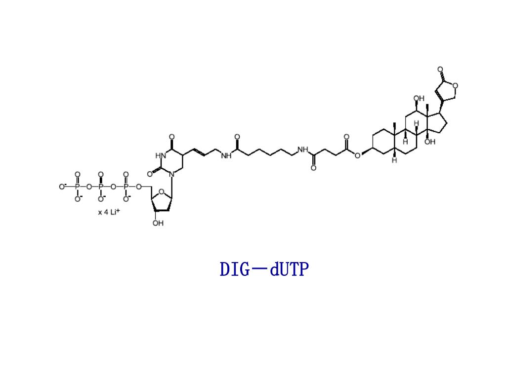 PPT - 基因组 DNA 的杂交专题之二 PowerPoint Presentation, free download - ID:3536630