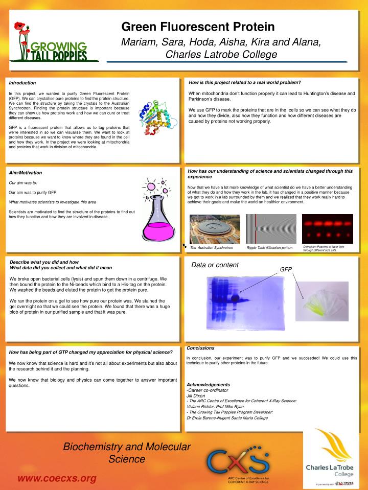 PPT - Green Fluorescent Protein PowerPoint Presentation, free download ...