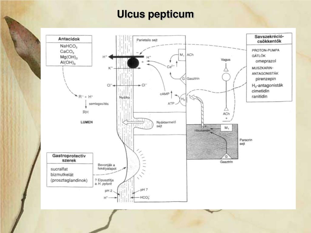 PPT - Orvosi és Gyógyszerészeti Egyetem Marosvásárhely Gyógyszerészeti ...