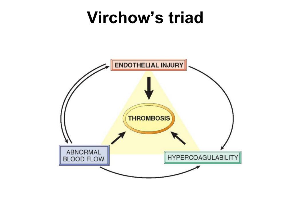 Ppt Thrombosis Embolism Infarction Powerpoint Presentation Free