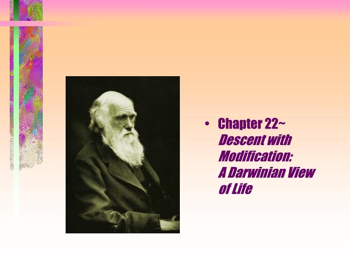 PPT - Chapter 22~ Descent with Modification: A Darwinian View of Life PowerPoint Presentation ...