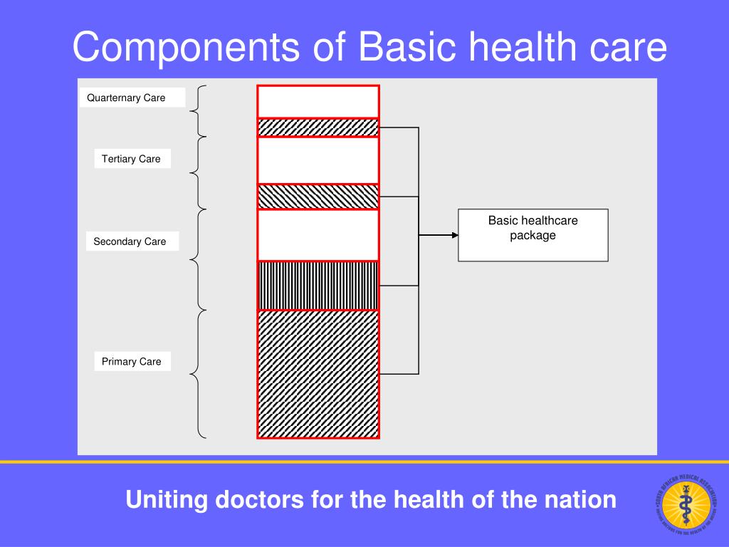 PPT - Presented by:- Dr Aquina Thulare Secretary-General: SA Medical ...