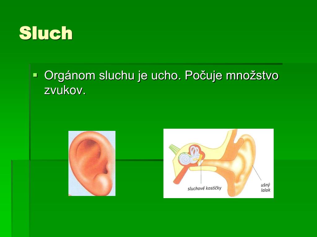 PPT - Špeciálna základná škola internátna, Michalovce Vecné učenie – 3 ...