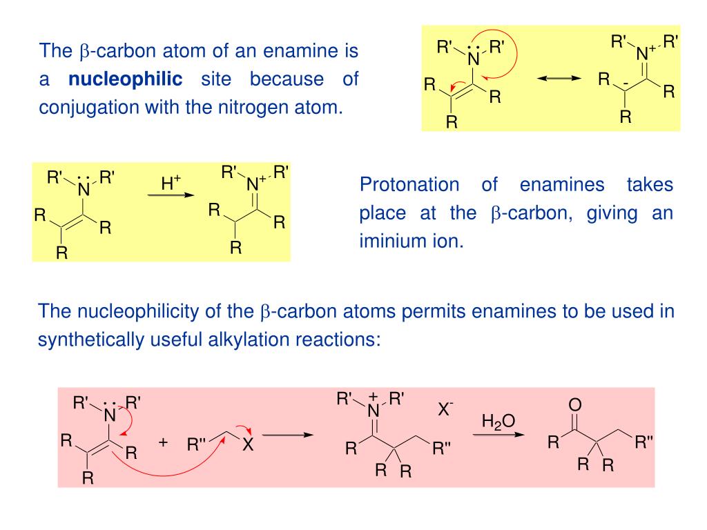 PPT - 1.8. ALKYLATION OF ALDEHYDES, ESTERS, AMIDES, AND NITRILES ...