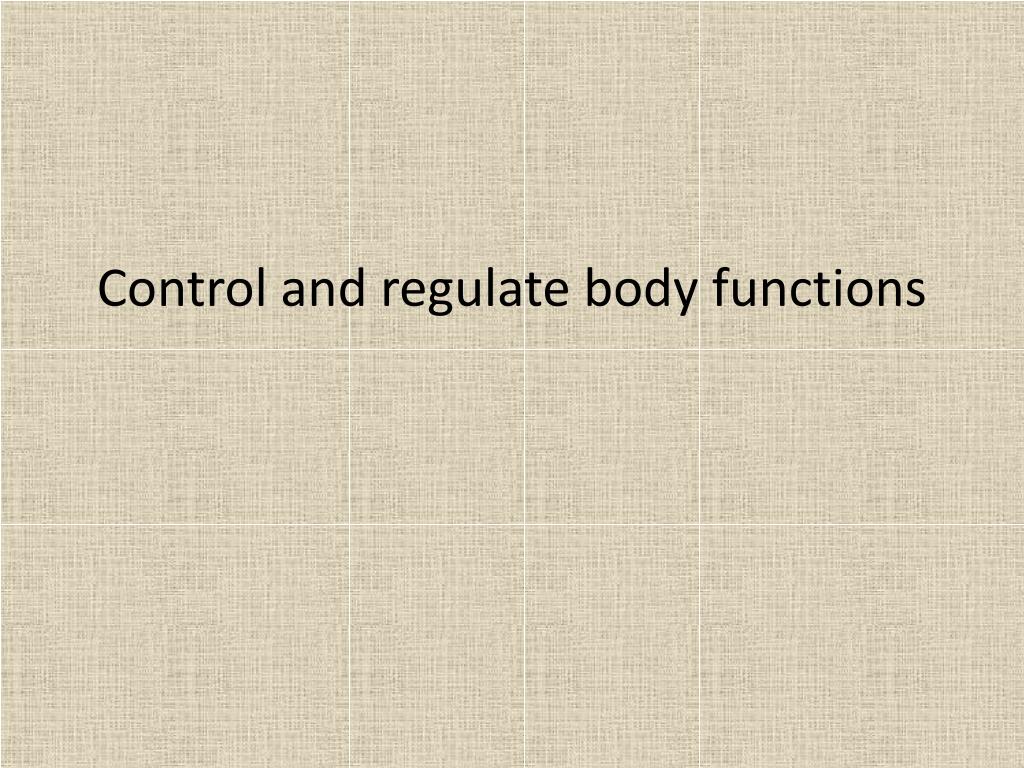 PPT - Human Body Review PowerPoint Presentation, free download - ID:3540995