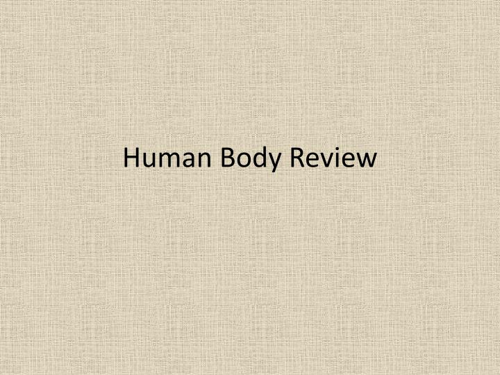 PPT - Human Body Review PowerPoint Presentation, free download - ID:3540995