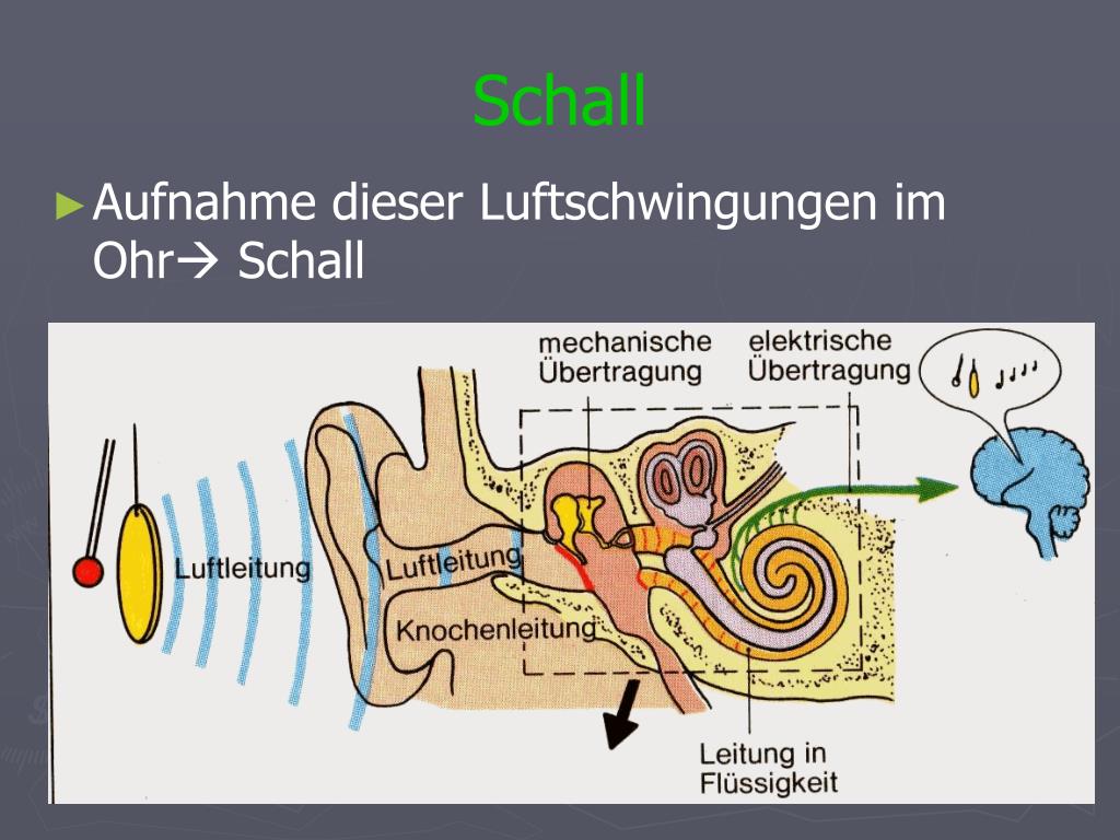PPT - Schall und die 12 Töne von Kammerton a` bis a`` PowerPoint ...