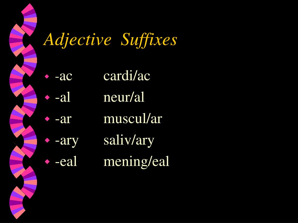 PPT - MED101 Medical Terminology PowerPoint Presentation, free download ...