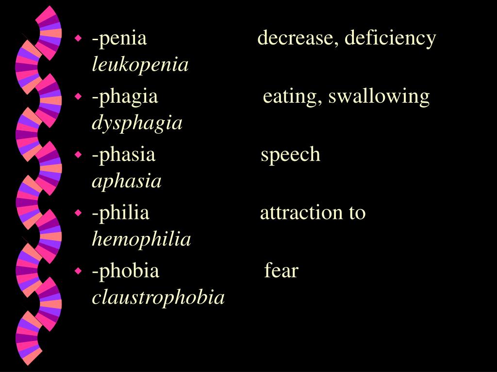 PPT - MED101 Medical Terminology PowerPoint Presentation, free download ...