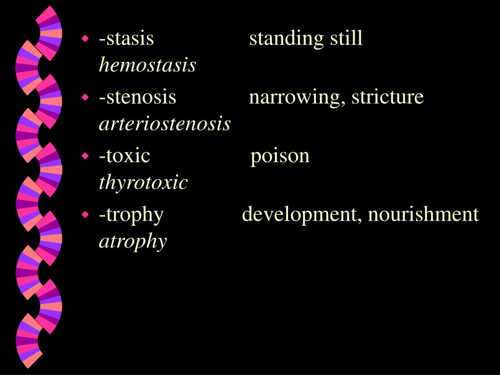 PPT - MED101 Medical Terminology PowerPoint Presentation, free download ...