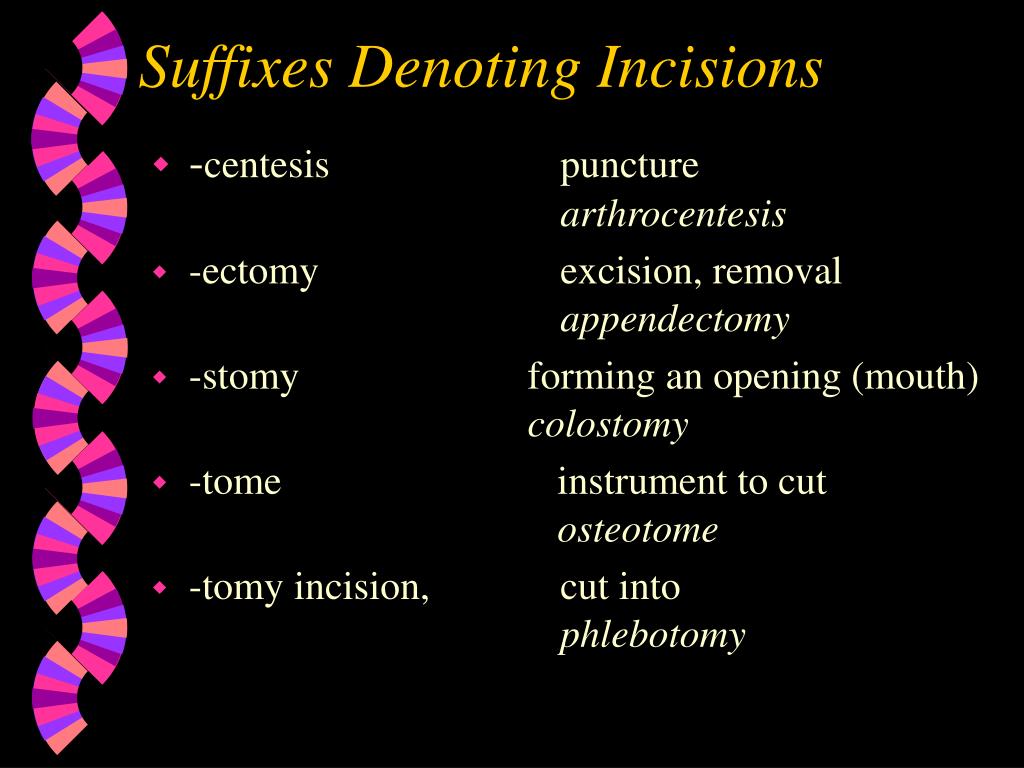 PPT - MED101 Medical Terminology PowerPoint Presentation, free download ...