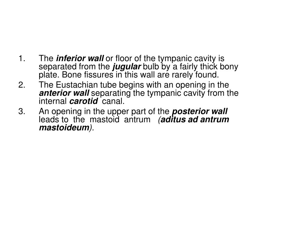 PPT - ANATOMY AND PHYSIOLOGY OF THE EXTERNAL EAR, MIDDLE EAR AND INNER ...